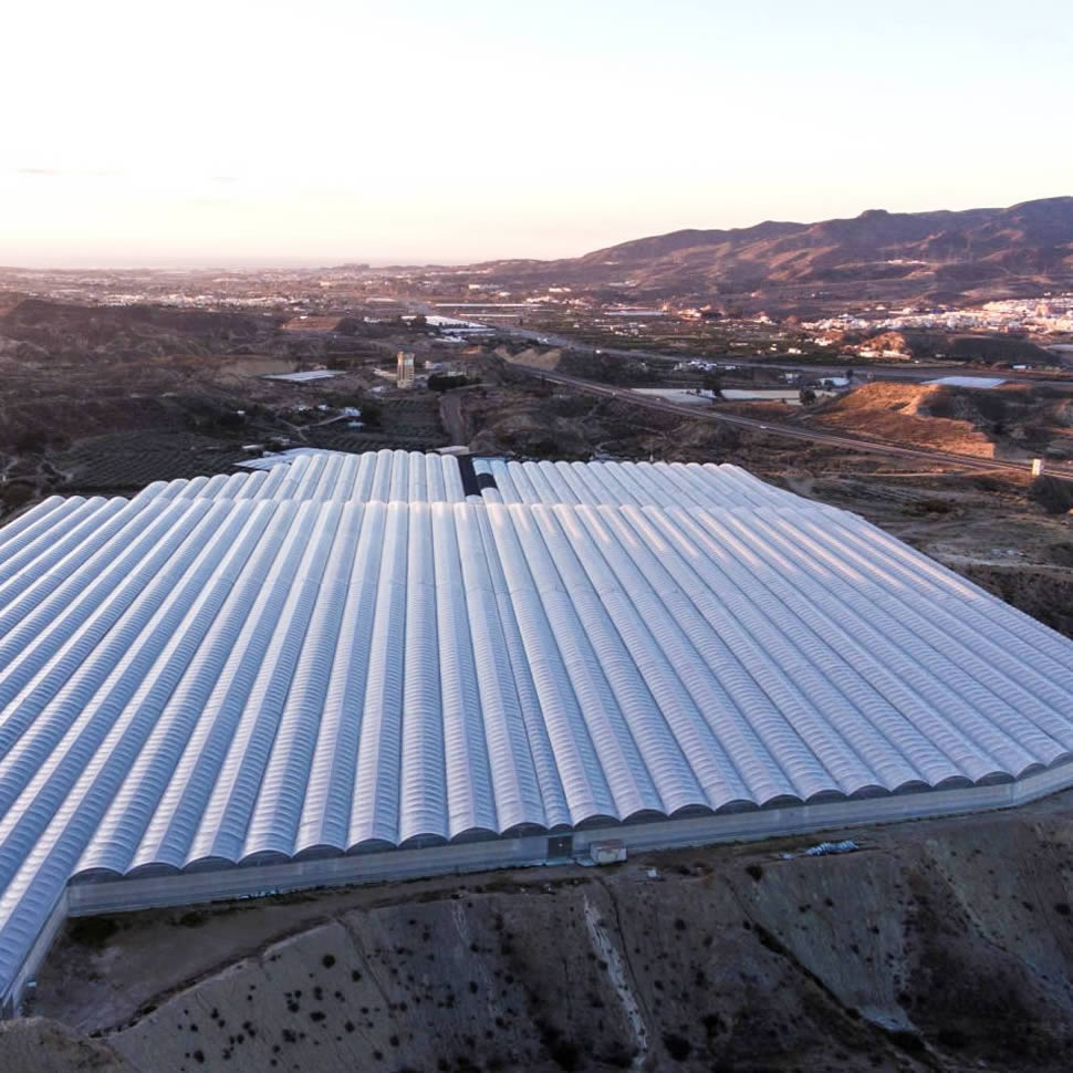 Poly Houses by Bridge Greenhouses