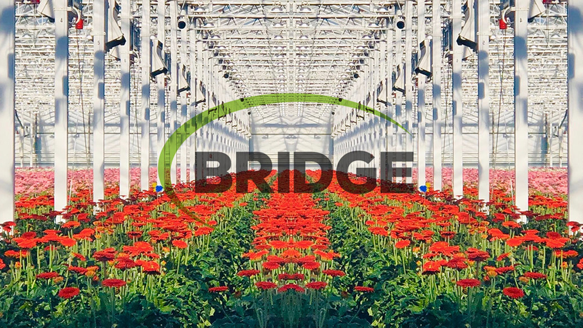 Insect Research Pods - Bridge Greenhouses